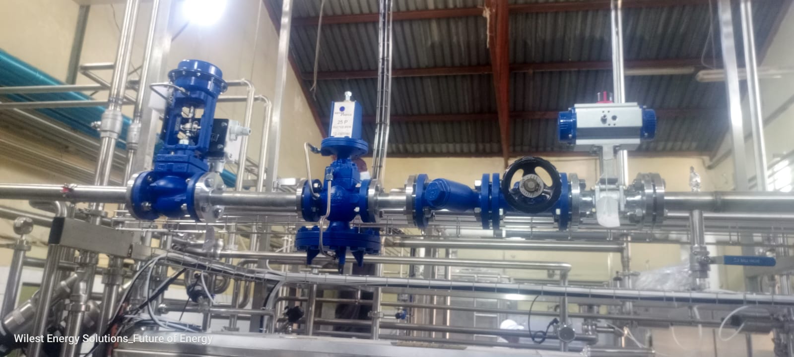 Mini Dairy Milk Processing Plants: Empowering Small Farms with ...